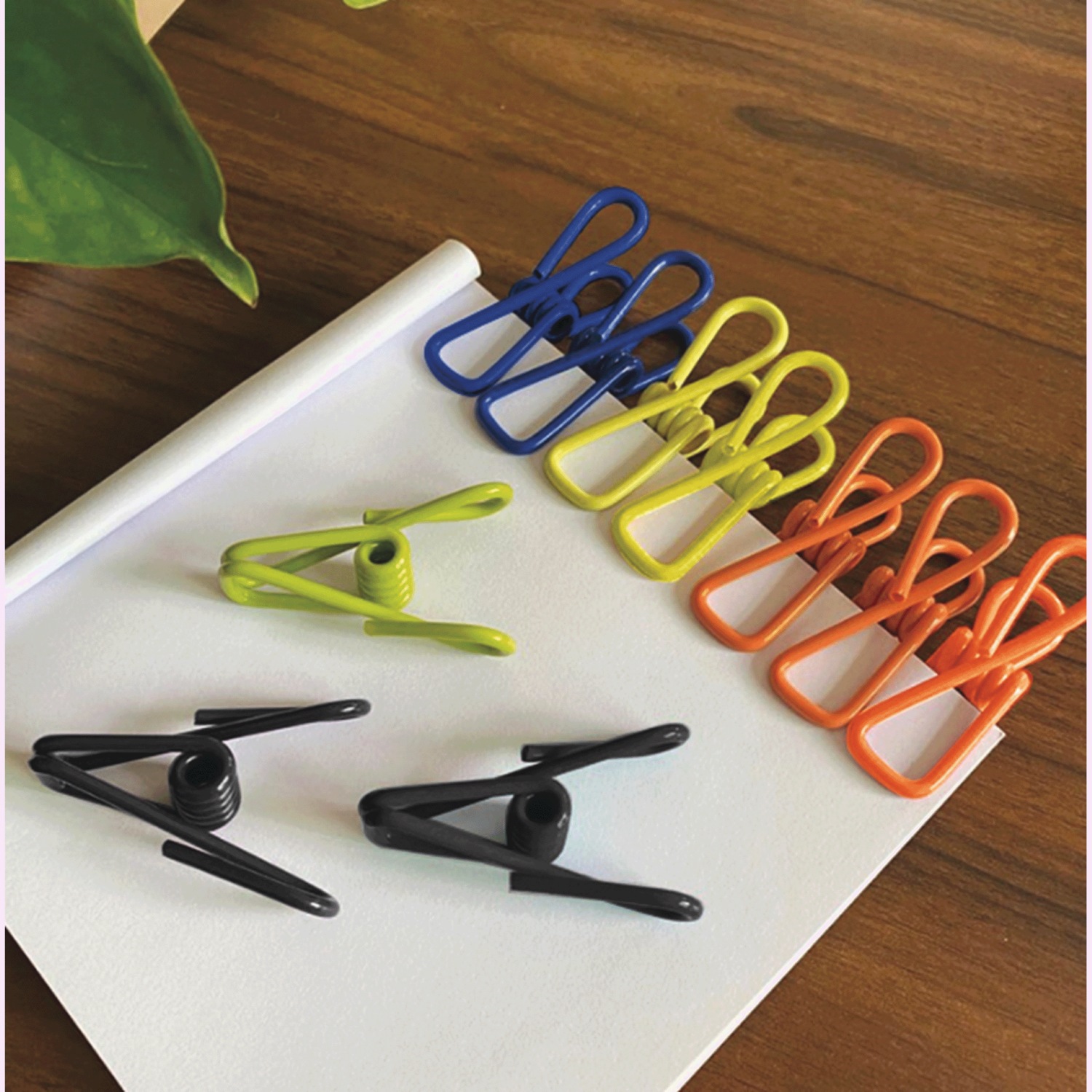 Set of 24 Everything Clips | Dr. Leonard's