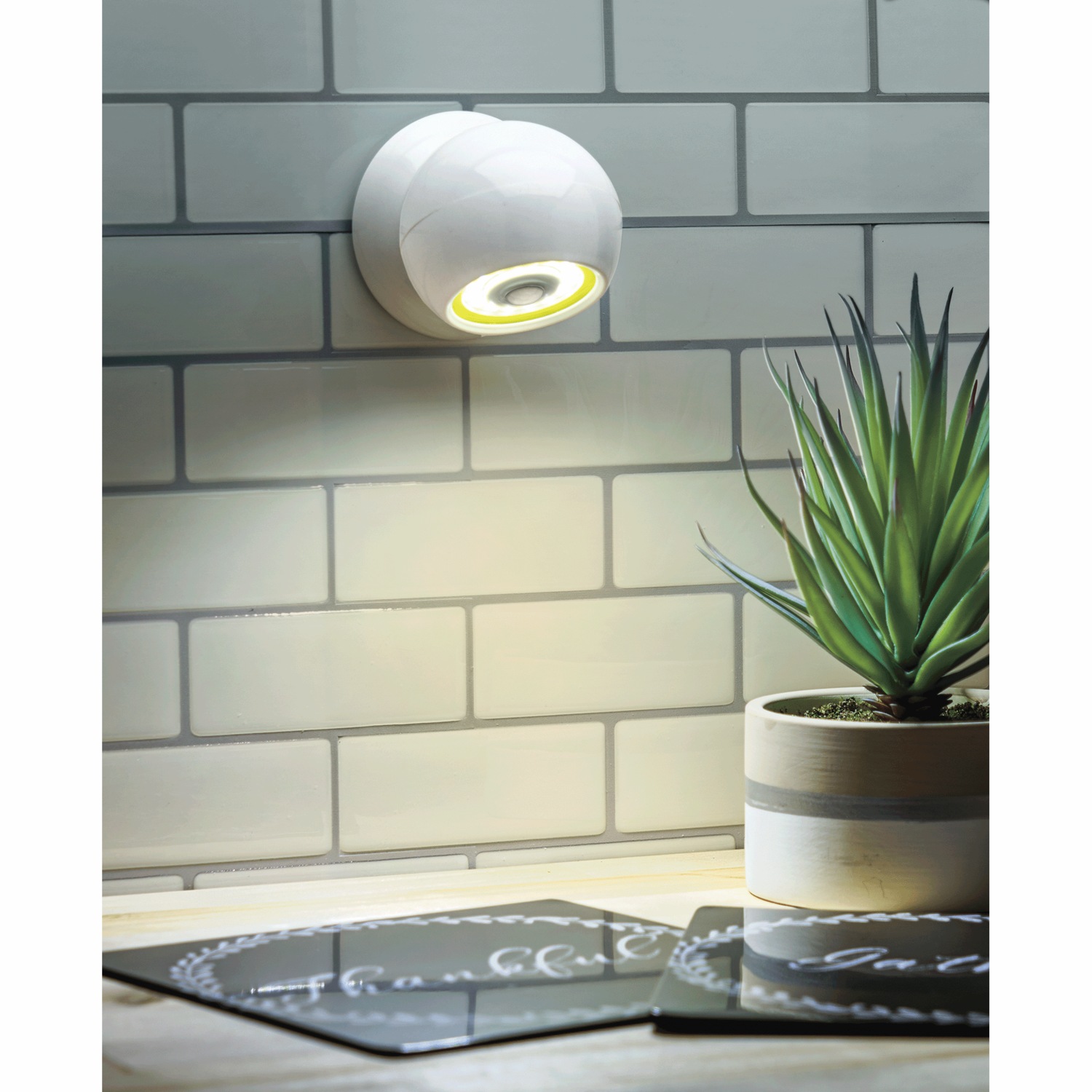 Magnetic-Mount LED Light | Dr. Leonard's