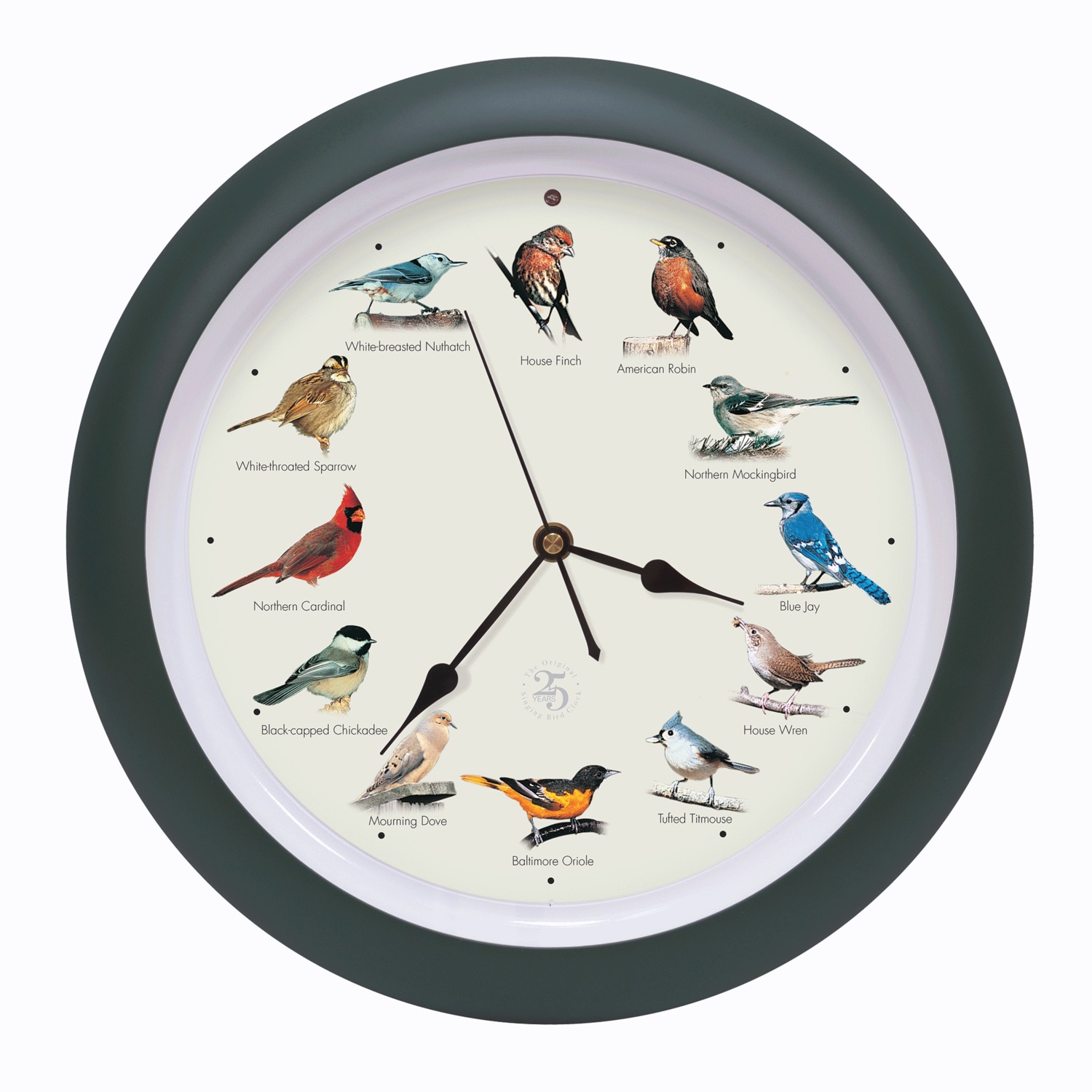 Singing Bird Clock | Dr. Leonard's