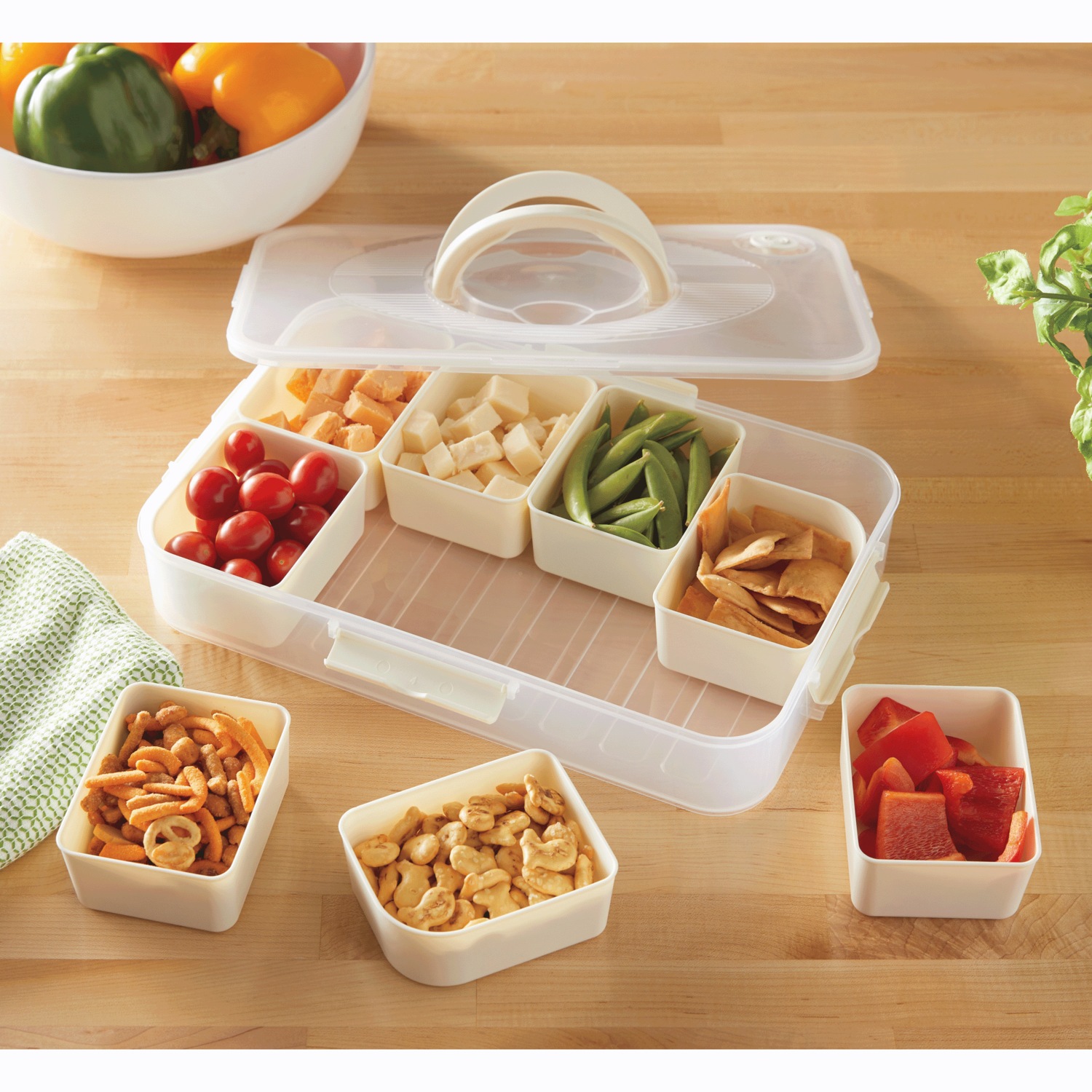 Divided Container with Lid & Handle | Dr. Leonard's