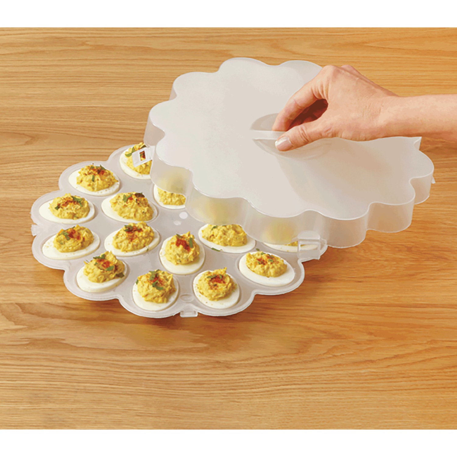 Plastic Deviled Egg Tray | Dr. Leonard's